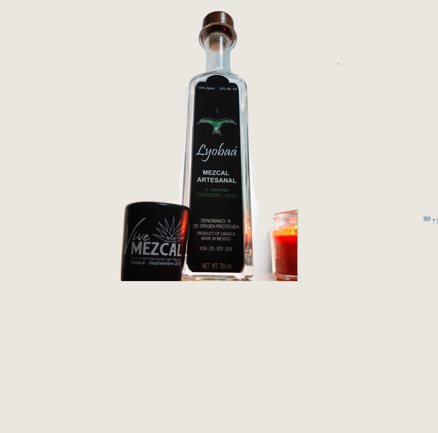Mezcal artesanal Lyobaá, Tepeztate – Mezcales México